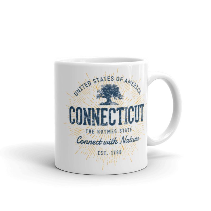 Retro State of Connecticut Camper Mug - Treaja.com